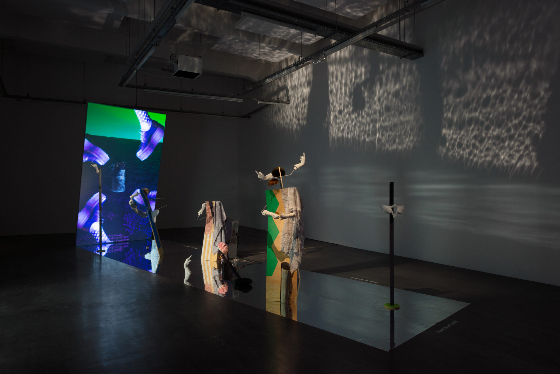 Toon Fibbe - MUTANTX - Biennale de l’Image Possible 2024