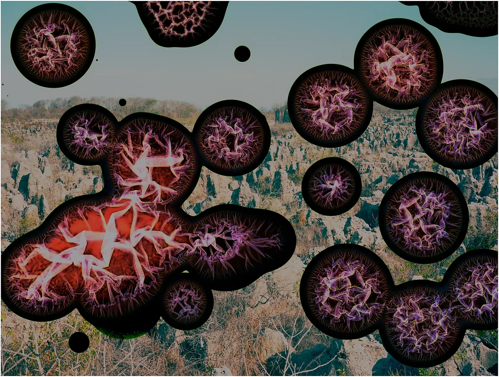 Richard Pak - MUTANTX - Biennale de l’Image Possible 2024