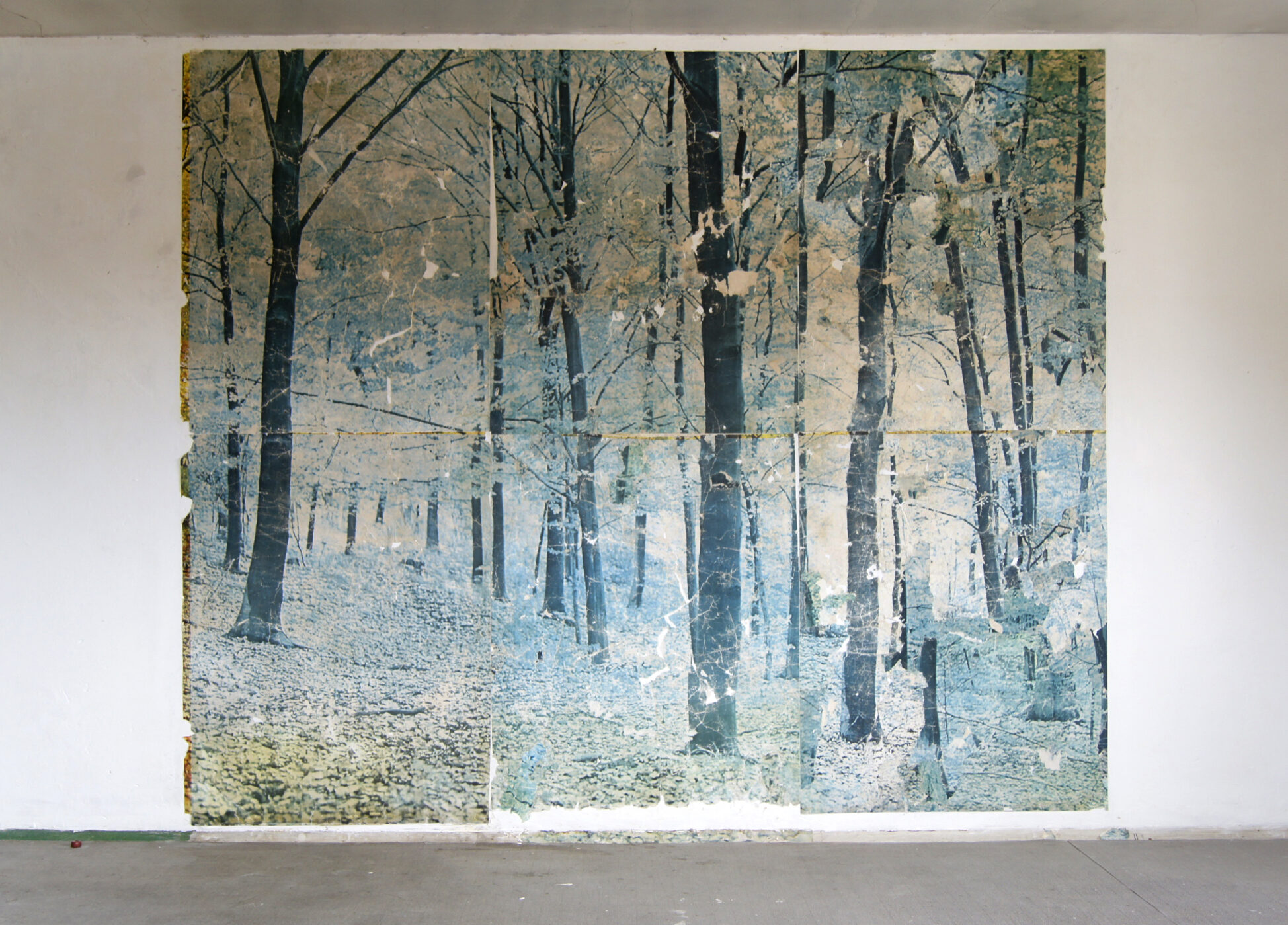 Julie Larrouy - MUTANTX - Biennale de l’Image Possible 2024