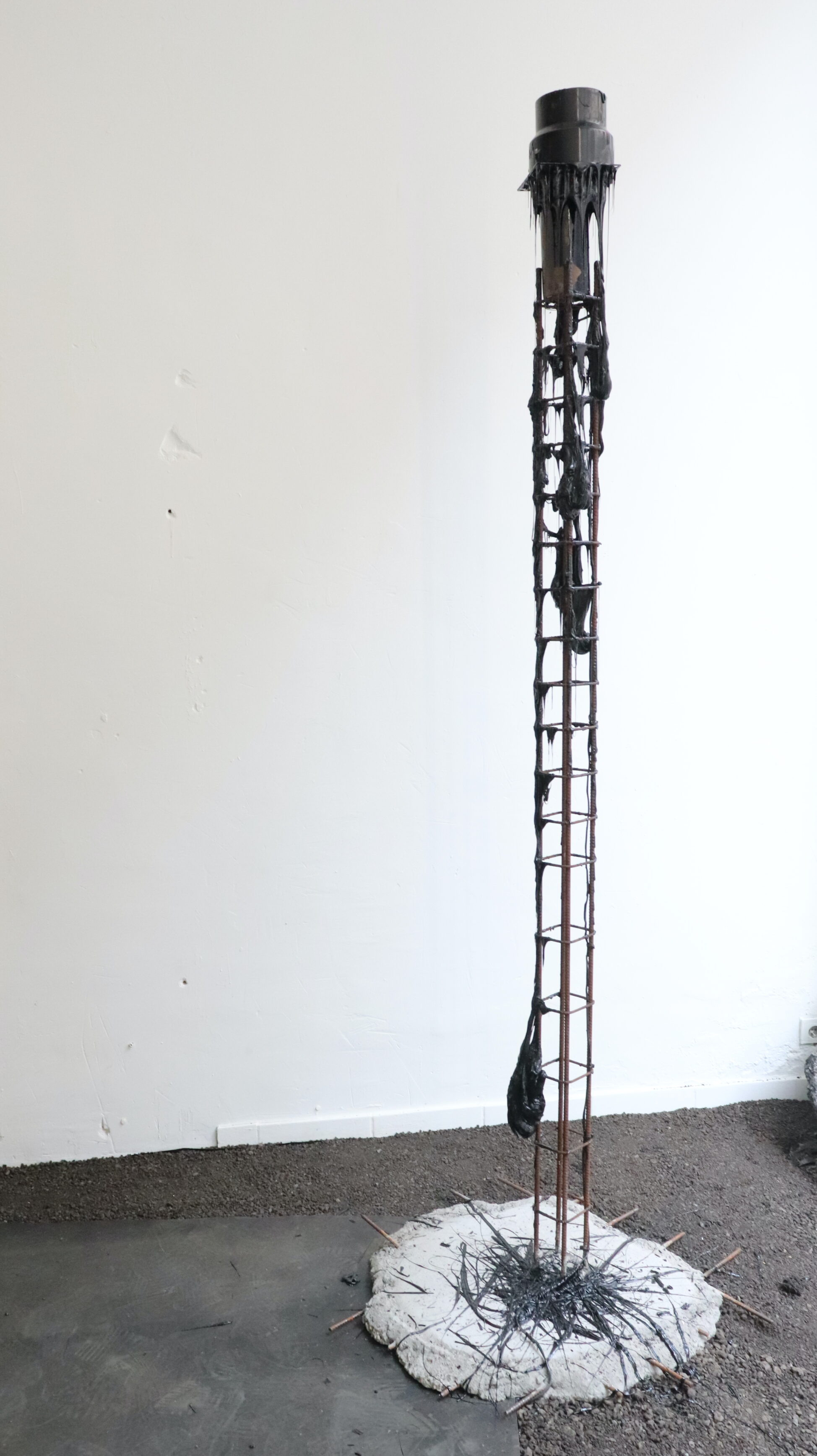 Lucie Marchand - MUTANTX - Biennale de l’Image Possible 2024