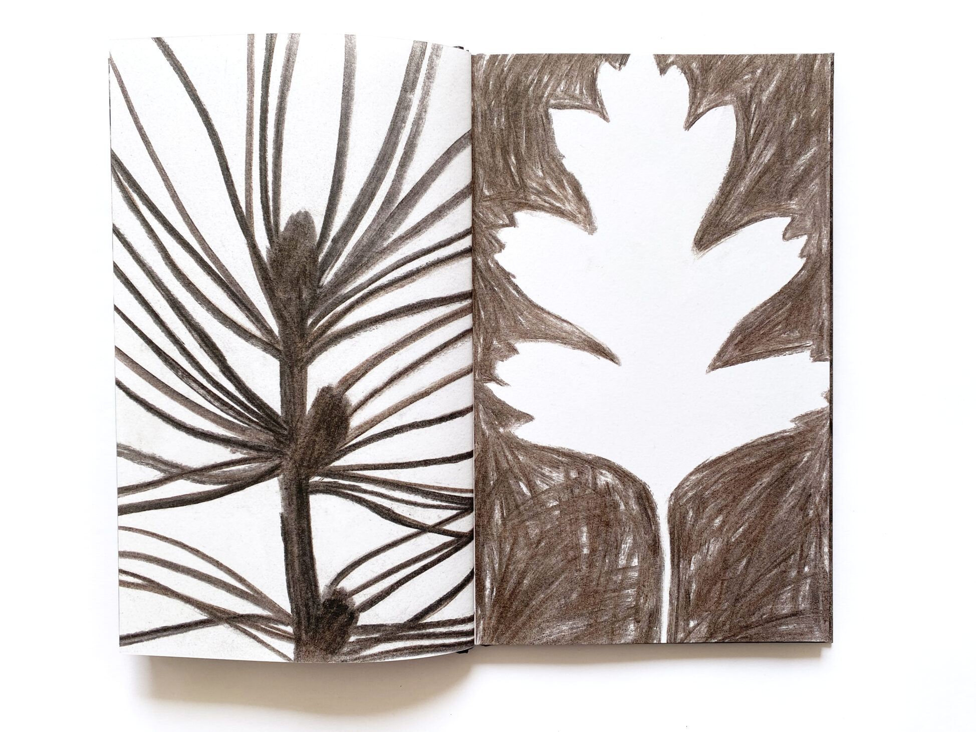 La Châtaigneraie - MUTANTX - Biennale de l’Image Possible 2024